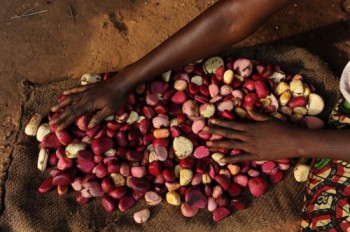 La sorprendete "Cola" del Senegal nelle terre verso l'Atlantico
